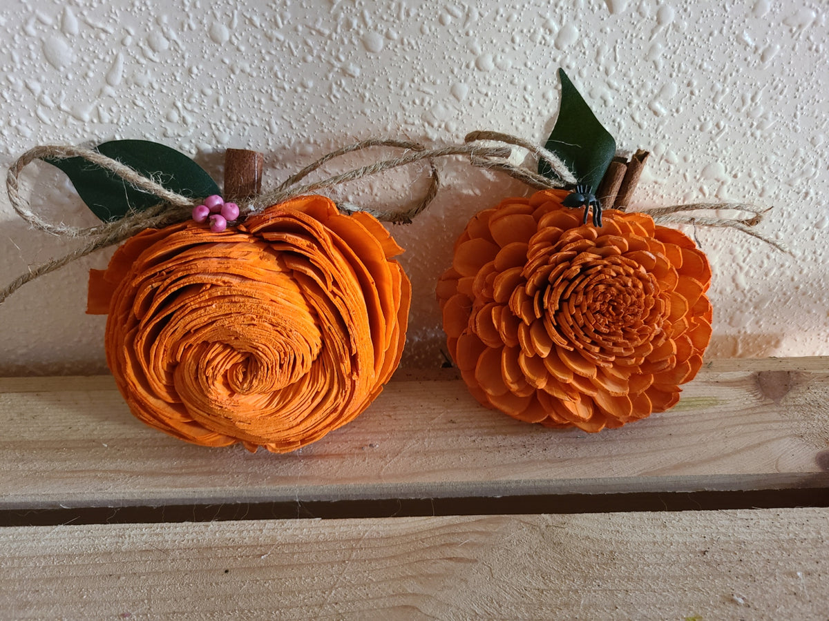 DIY Pumpkin Magnet Kit – My Dinosaur Dreams